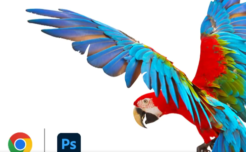Chrome introduces the Adobe Photoshop browser extension, which gives ...